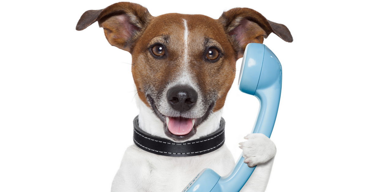 ADVERTISING ON ANGIE’S LIST : 5 Things You Need to Know Before Signing ...